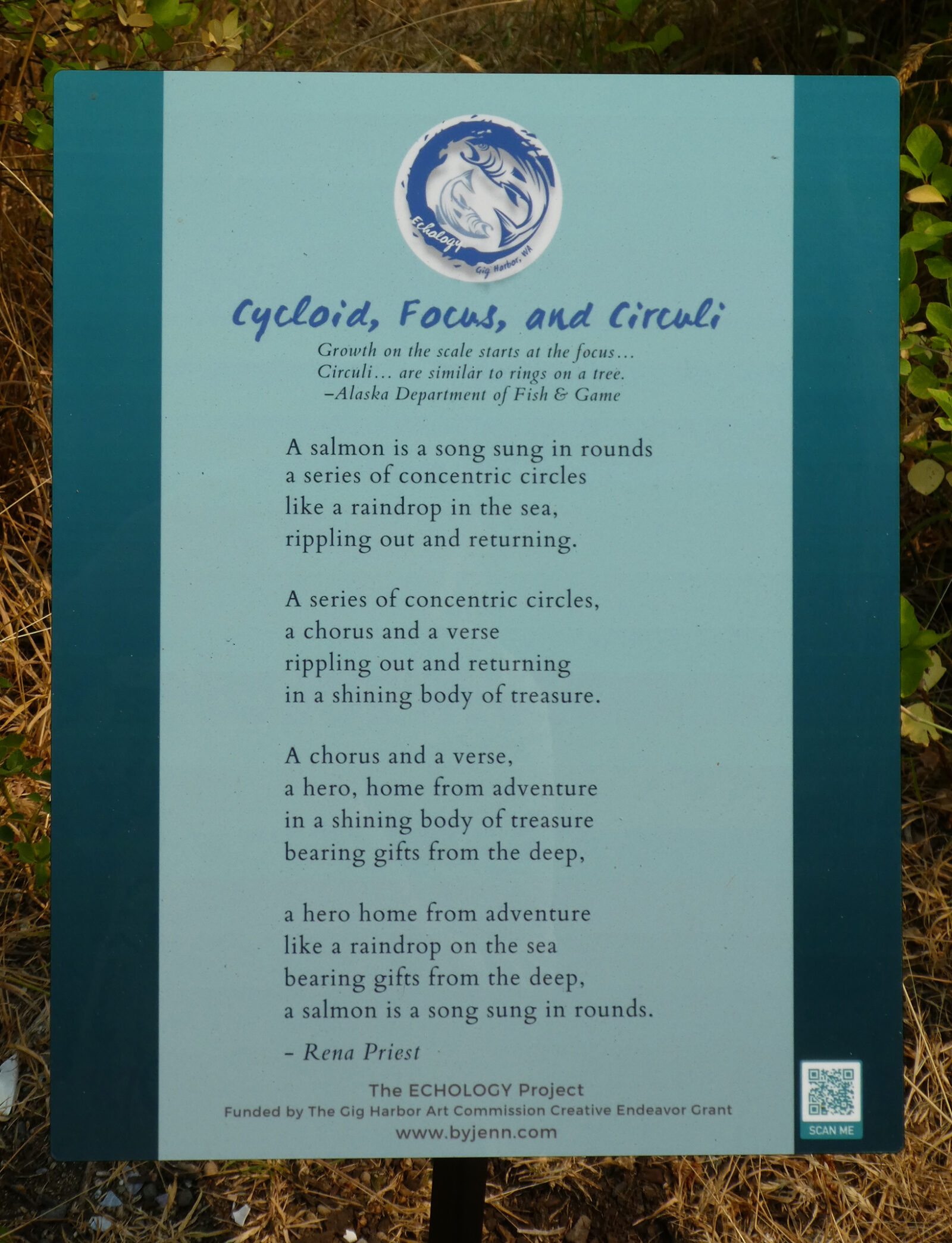 Poetry walk celebrates Donkey Creek salmon run - Gig Harbor Now | A ...