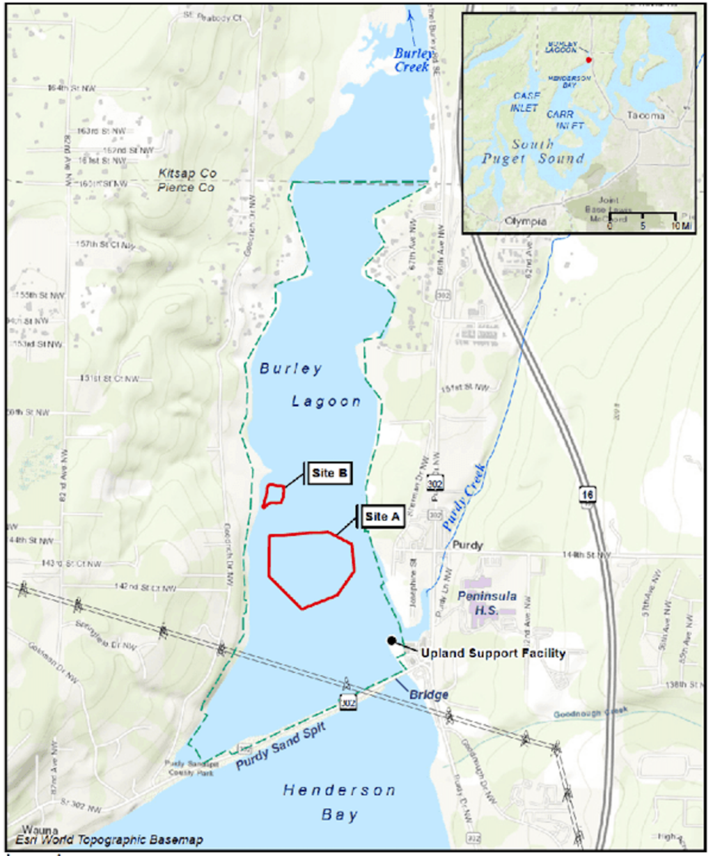 Meetings next week to address Burley Lagoon geoduck farm proposal - Gig ...