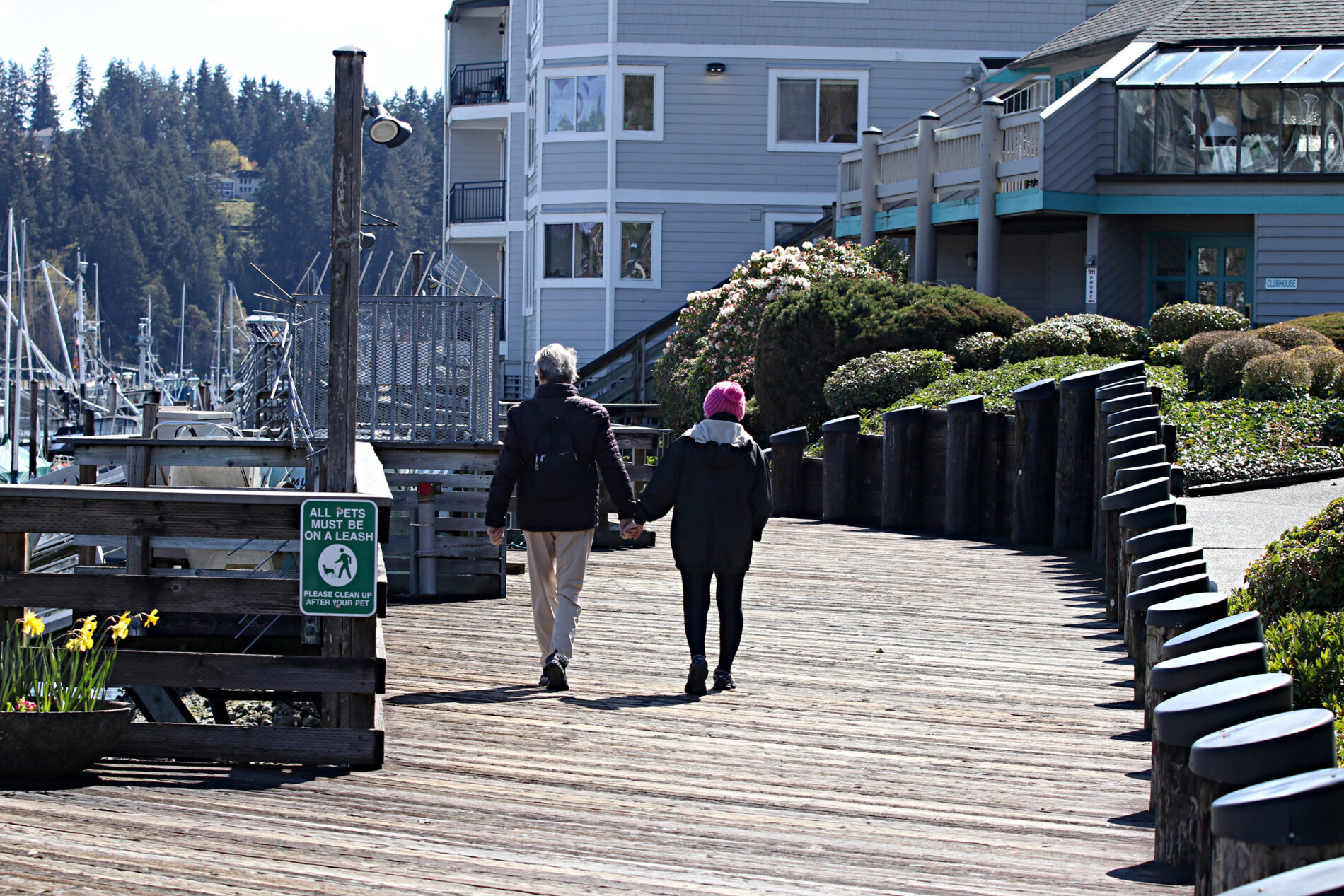 Guest column: Start the New Year with a good walk - Gig Harbor Now | A ...