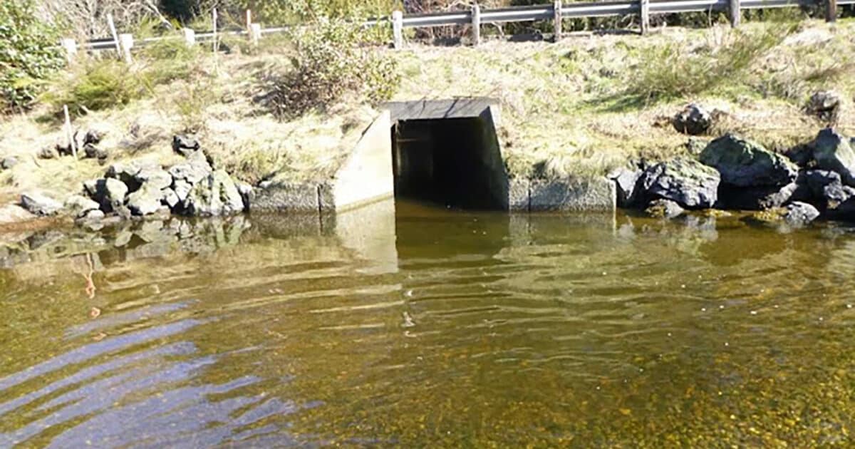 Purdy fish passage work delayed until spring - Gig Harbor Now | A ...