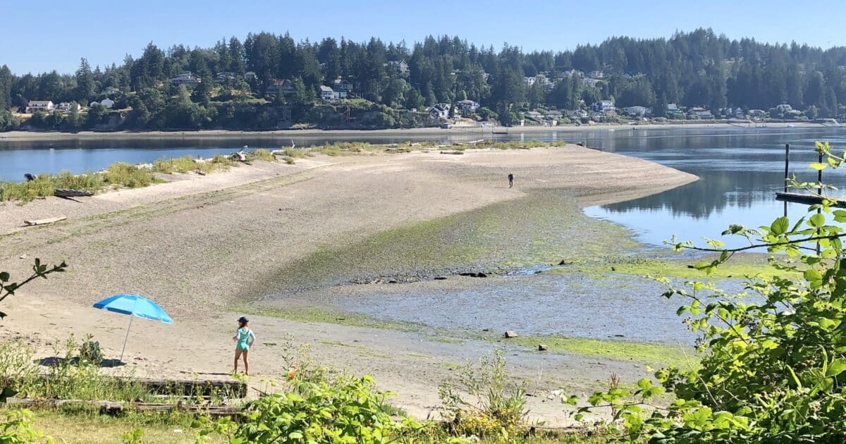 PenMet setting stage for Fox Island park improvements - Gig Harbor Now ...