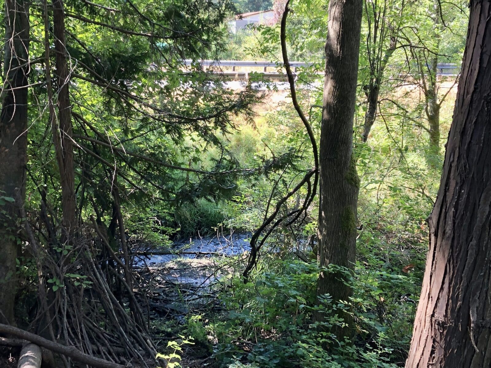 State, county both plan culvert removal to clear way for Purdy Creek ...