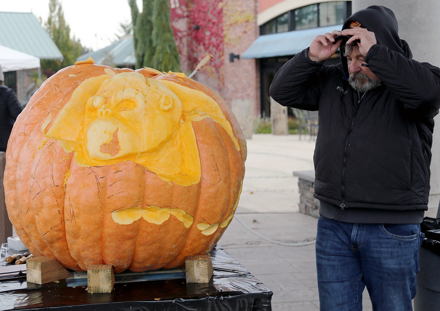 Halloween Happenings | Trick or treats, harvest festivals and more ...
