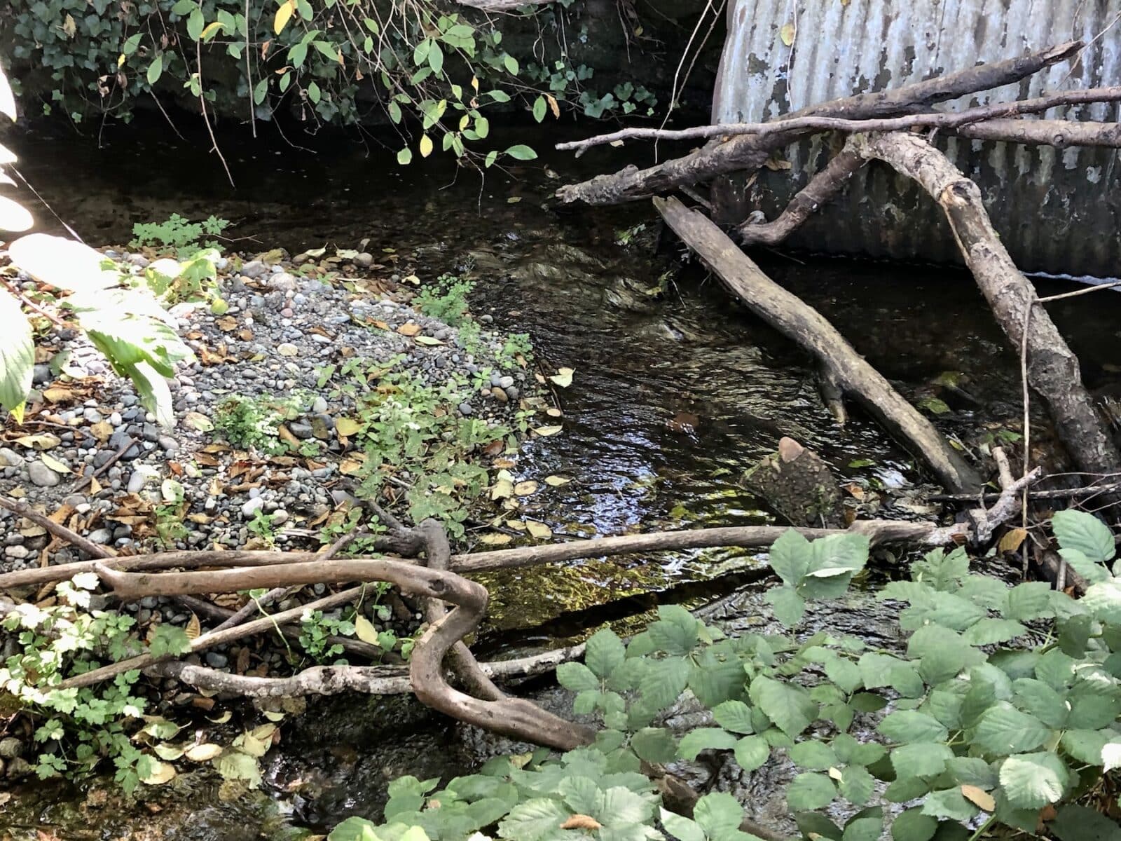 Purdy Creek culvert projects completed to salmon's liking - Gig Harbor ...