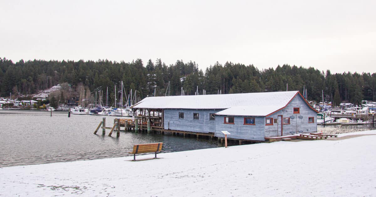 More snow, frigid low temperatures possible this weekend - Gig Harbor ...