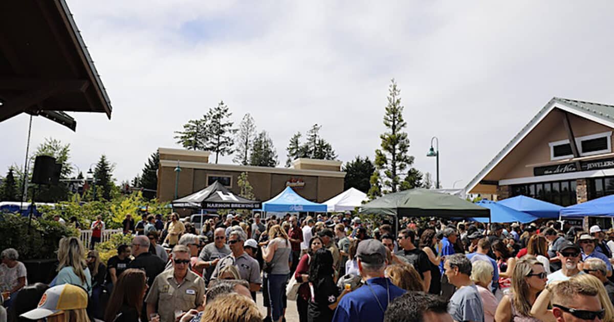 Harbor Happenings: Gig Harbor Beer Festival on tap - Gig Harbor Now | A ...