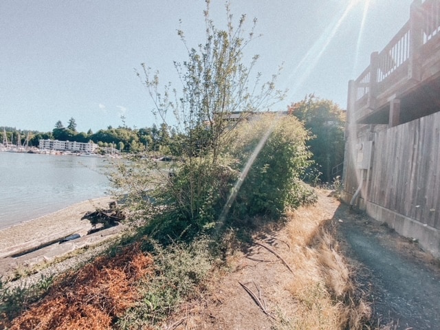 Two In Tow & On The Go: A walk up North Harborview Drive - Gig Harbor ...