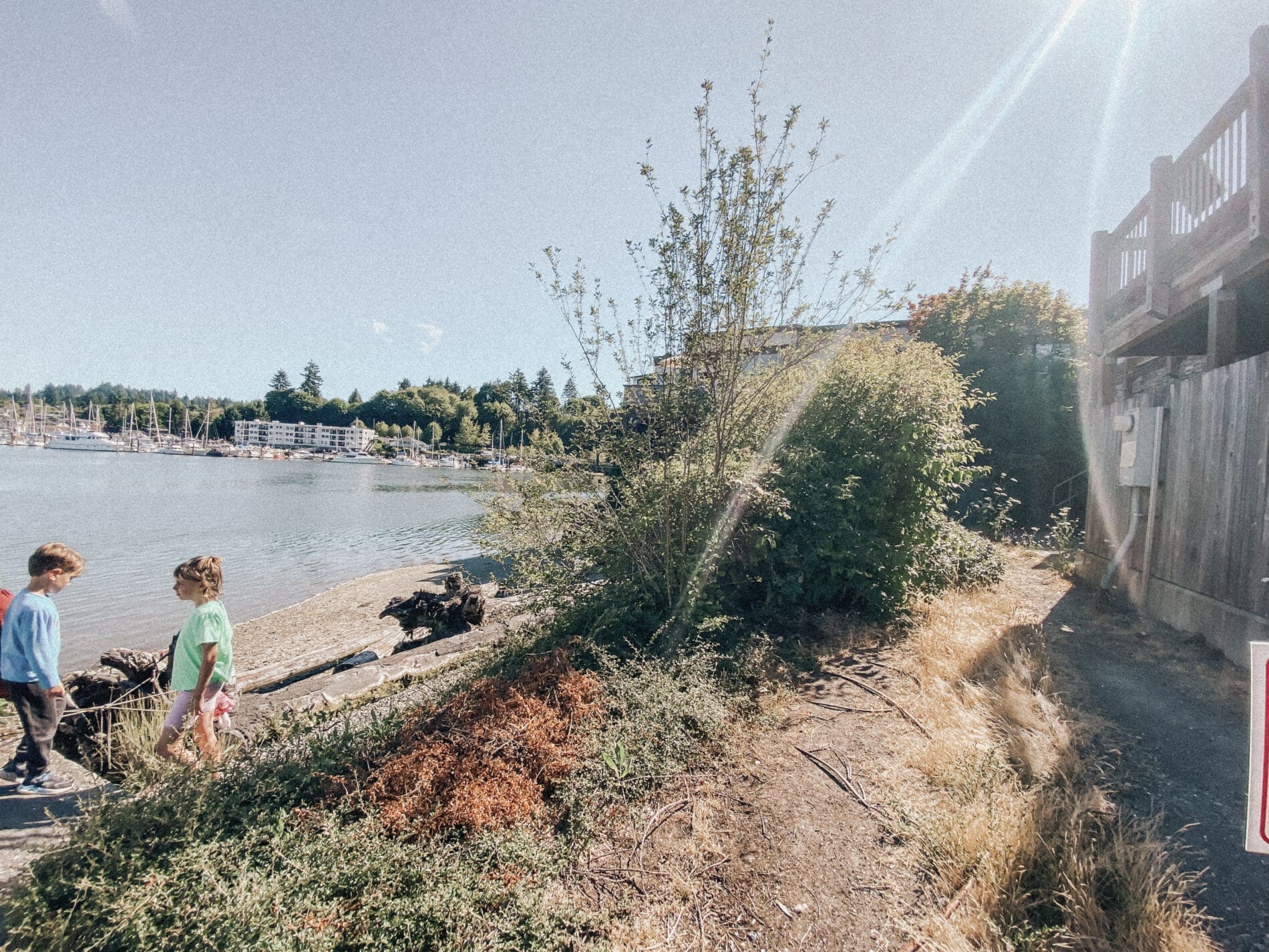 Two In Tow & On The Go: A walk up North Harborview Drive - Gig Harbor ...