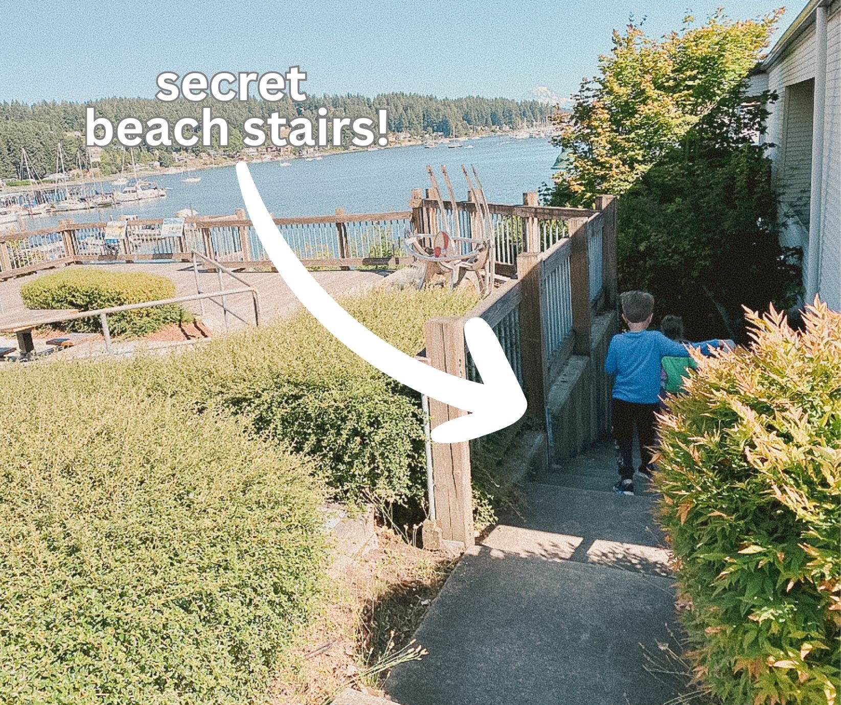 Two In Tow & On The Go: A walk up North Harborview Drive - Gig Harbor ...