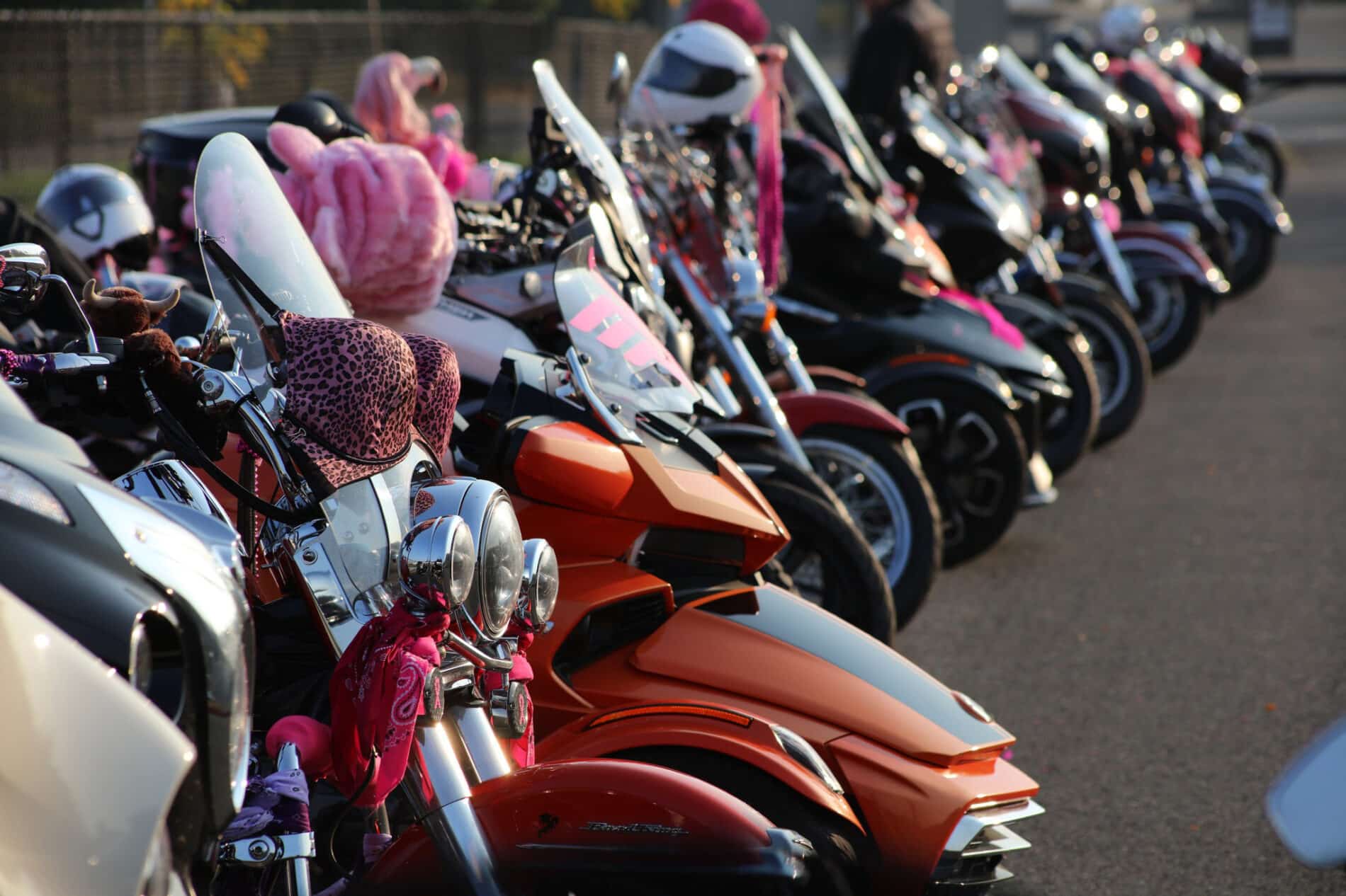 Don't get Wigged Out by this gang of bikers - Gig Harbor Now | A ...