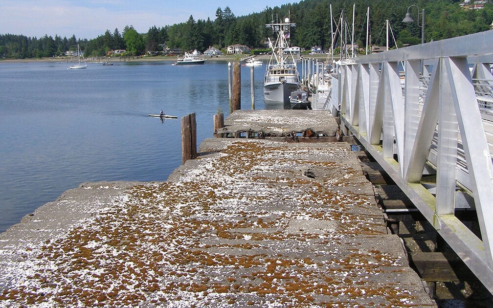 Gig Harbor Now and Then: Sports scores from the 1930s may not be what ...