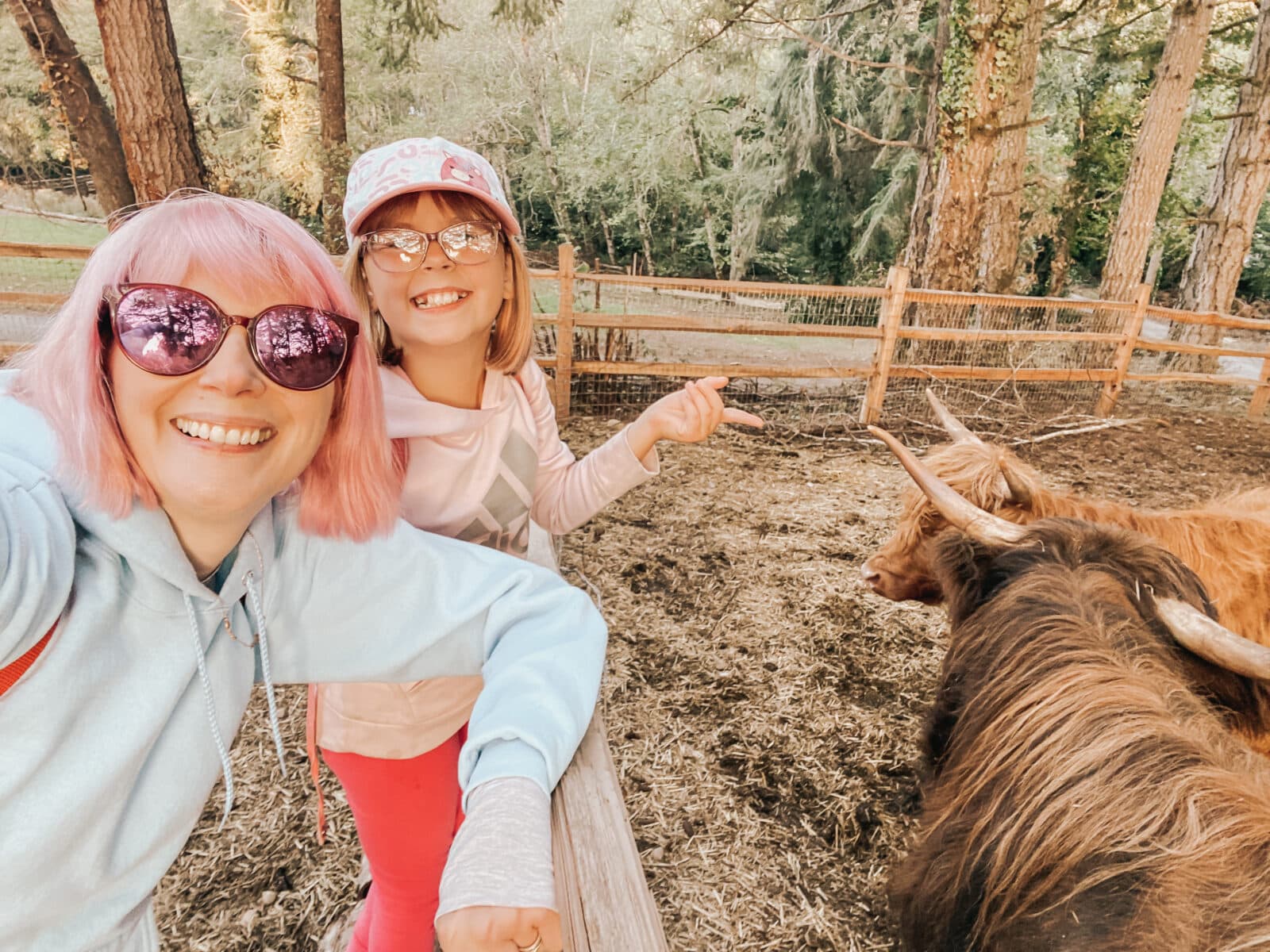 Two In Tow & On The Go: An autumn adventure at Harbor Farms - Gig ...