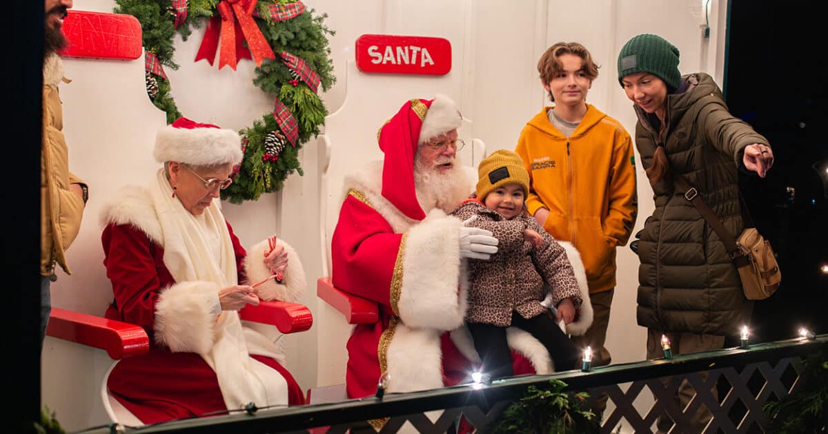 Harbor Happenings | City Christmas tree lighting is this week - Gig ...