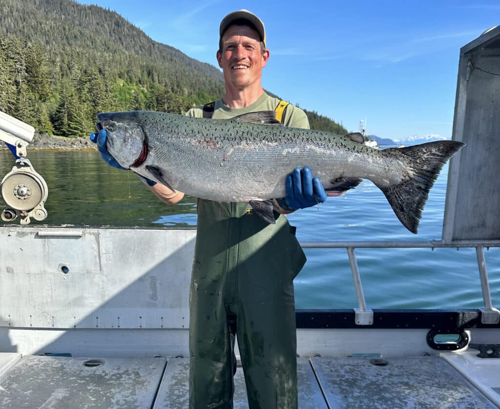 Business Spotlight: The Harbor Fish Co. is Gig Harbor’s next-gen ...