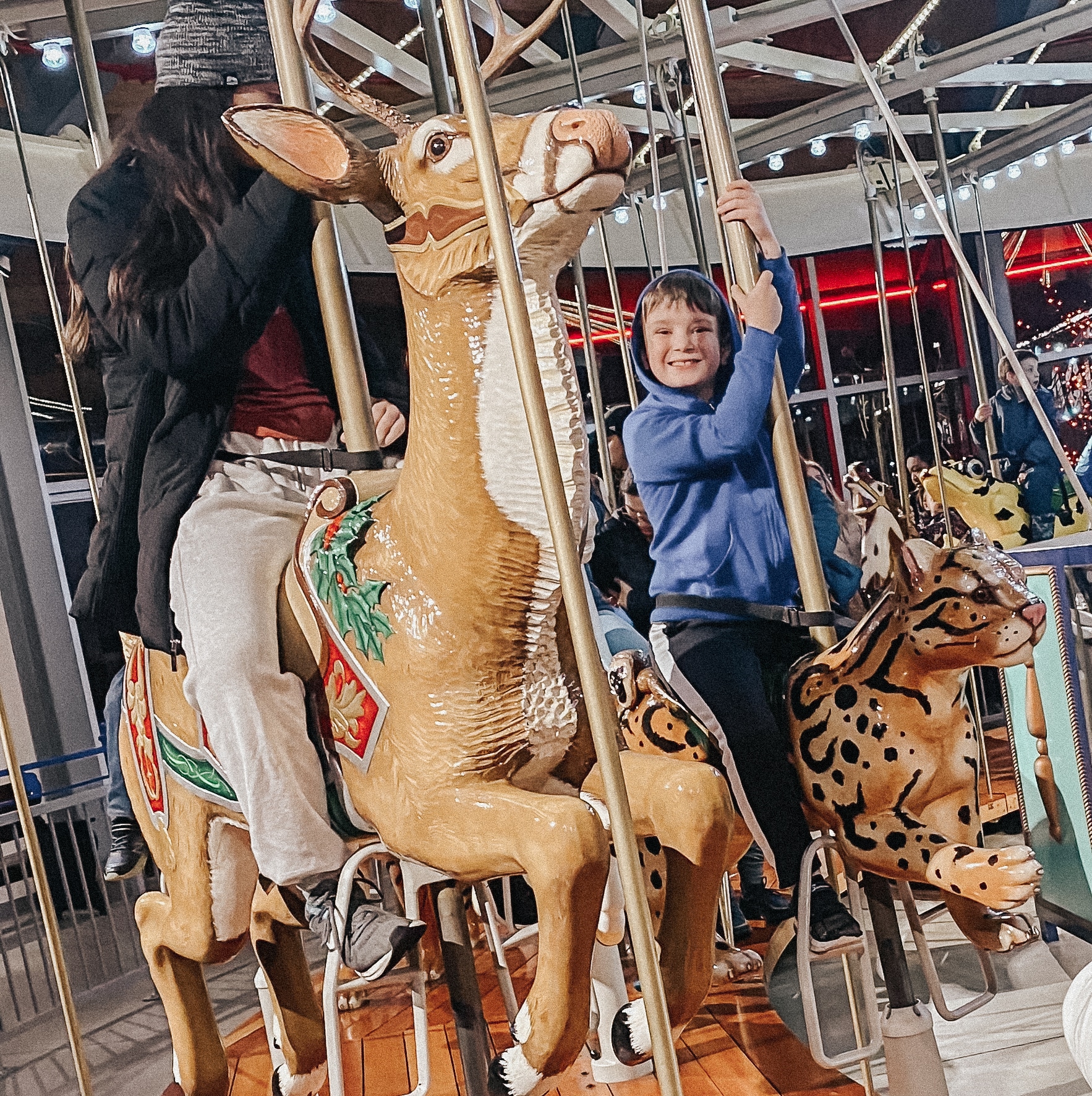 Two in Tow & On The Go | Zoo carousel fun facts - Gig Harbor Now | A ...