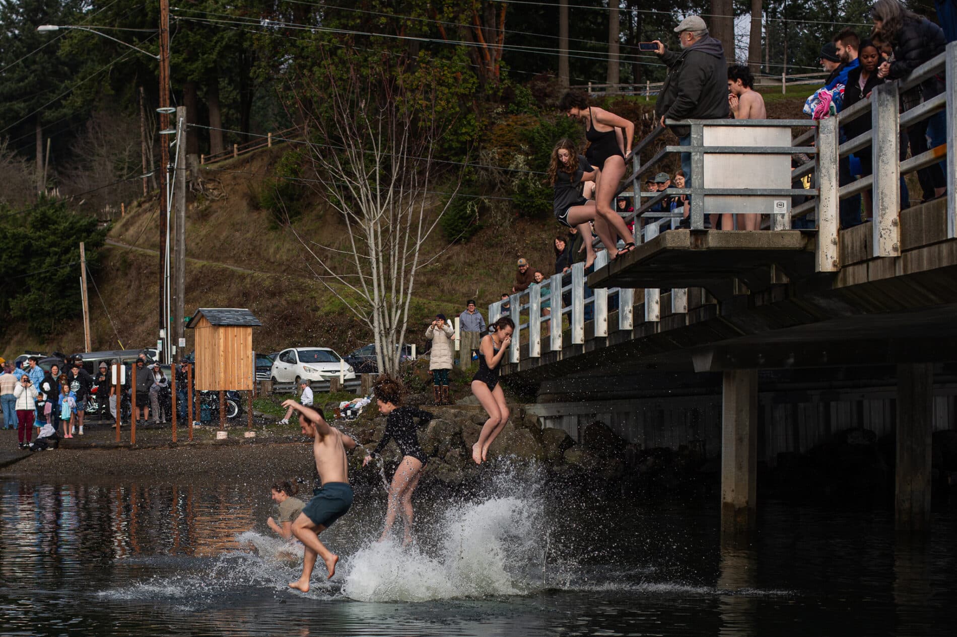Harbor Happenings | Plunging in to 2025 - Gig Harbor Now | A hyperlocal ...