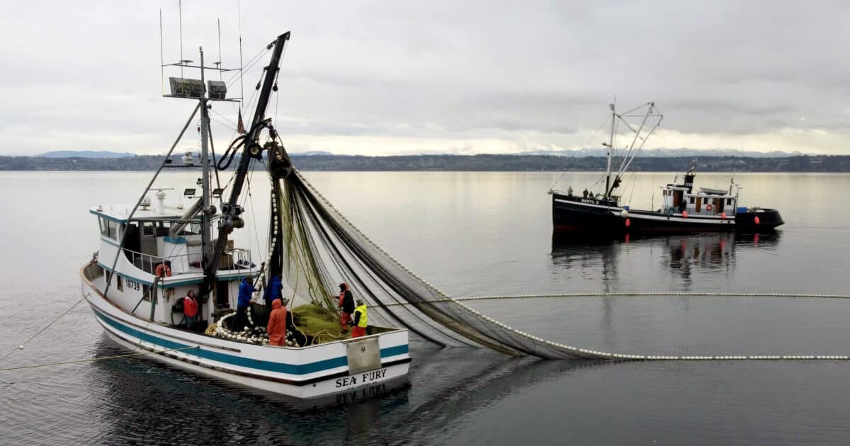 In the Margins | Crew School provides a reality sea trial for ...