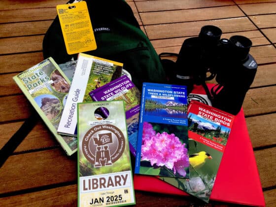 Check Out Washington backpacks bring the great outdoors into the ...