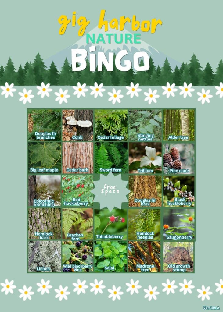Two In Tow & On The Go | Playing Nature Bingo with two new flora fans ...