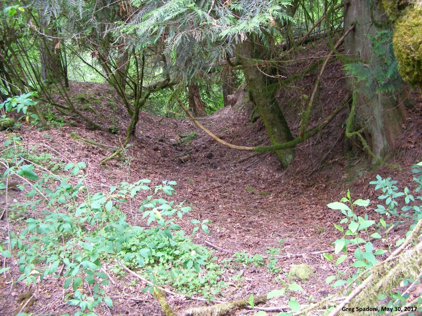 Gig Harbor Now and Then | A century later, you can still find signs of ...