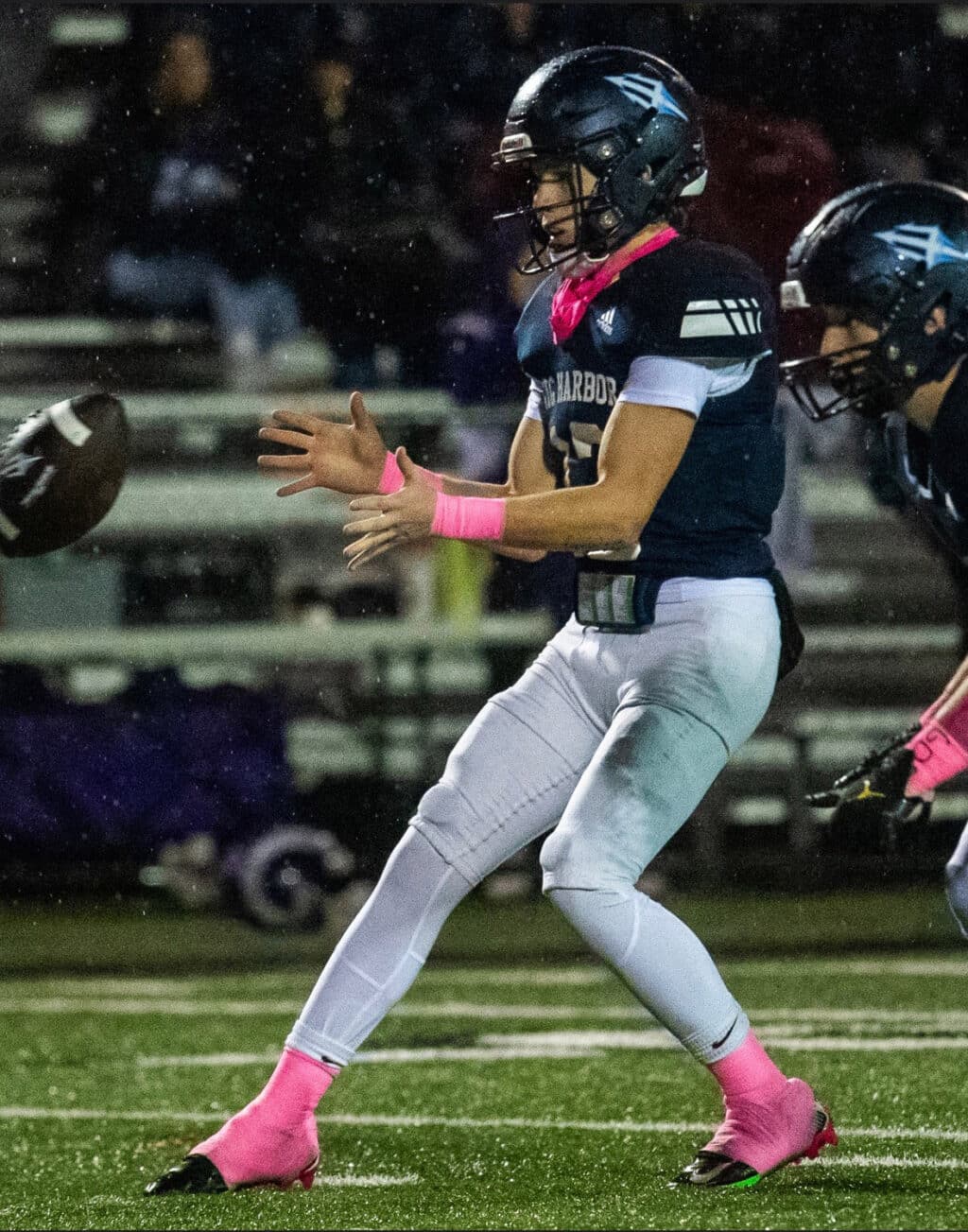 Fish Bowl 2024: What to watch for on the field - Gig Harbor Now | A ...