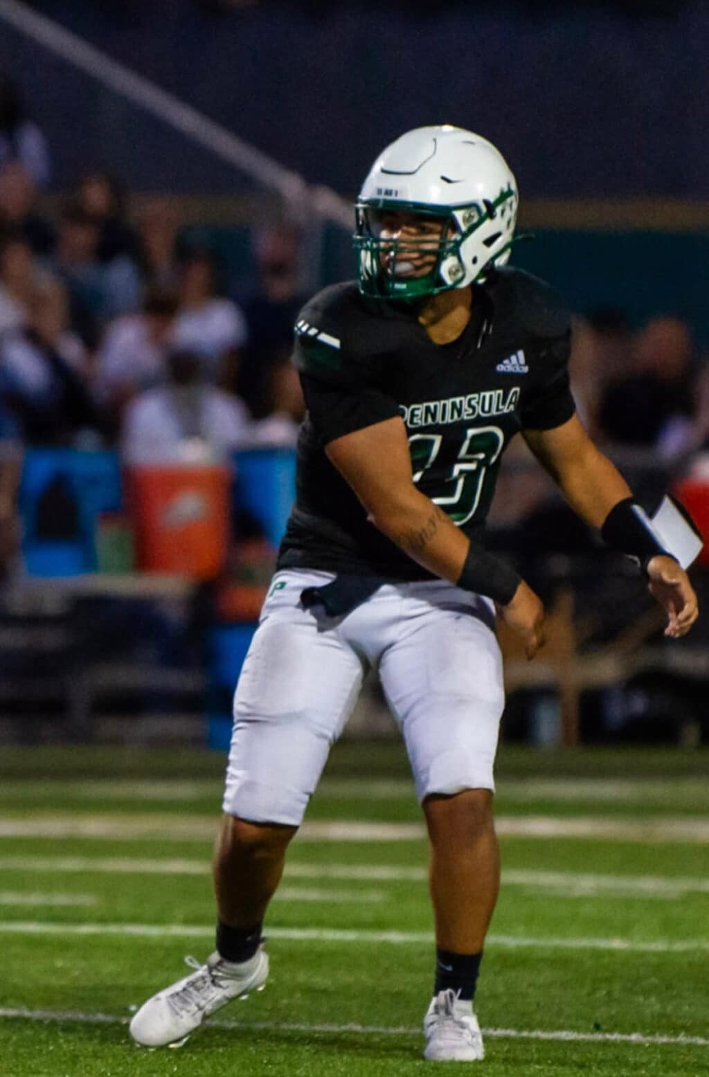 Fish Bowl 2024: What to watch for on the field - Gig Harbor Now | A ...