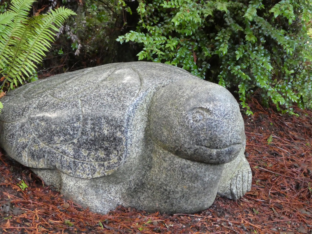 Harbor Happenings | Open Studio Tour, ChuSeok Festival highlight week's ...