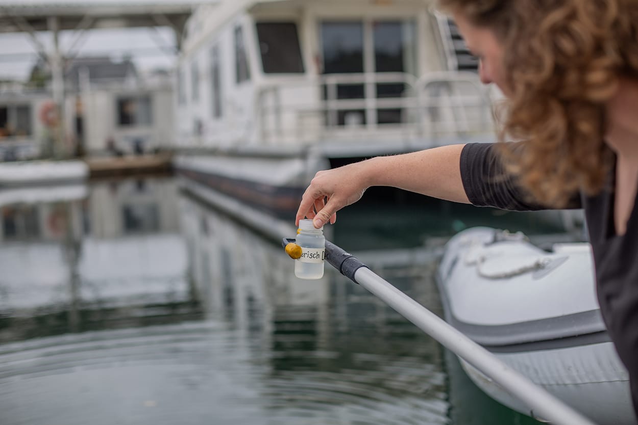 Harbor WildWatch, Blue Water Task Force help keep things clean - Gig ...