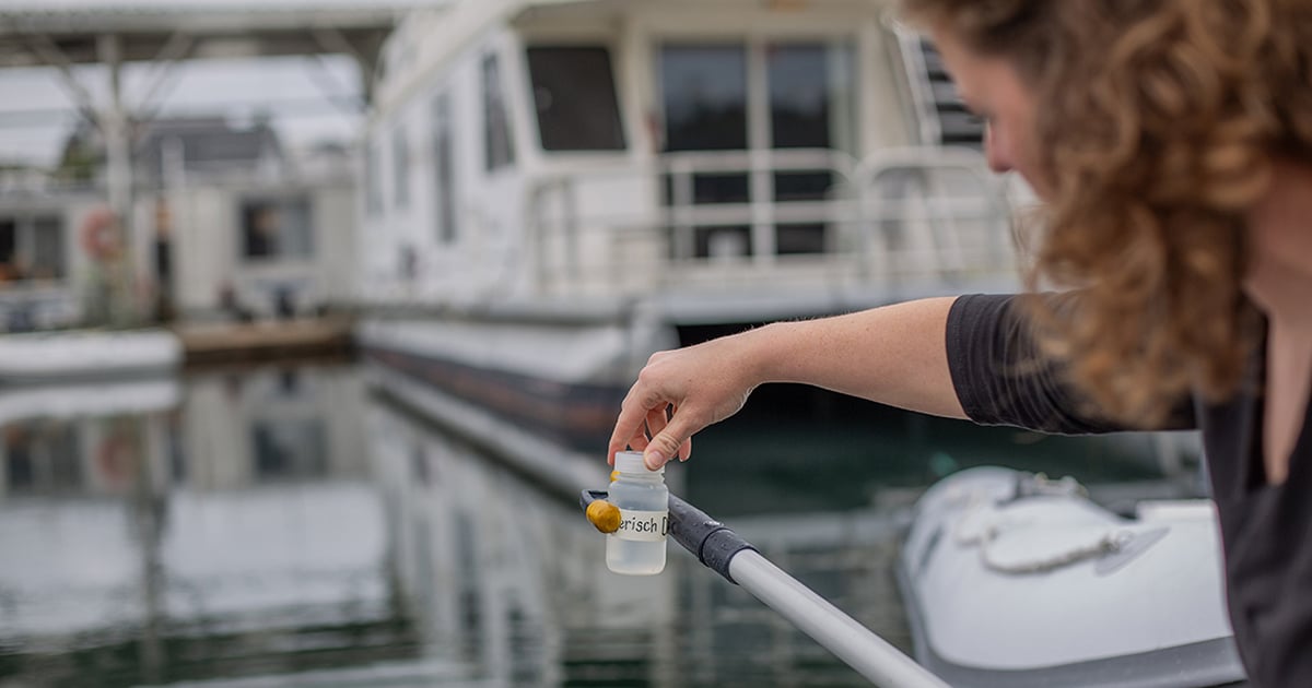 Harbor WildWatch, Blue Water Task Force help keep things clean - Gig ...