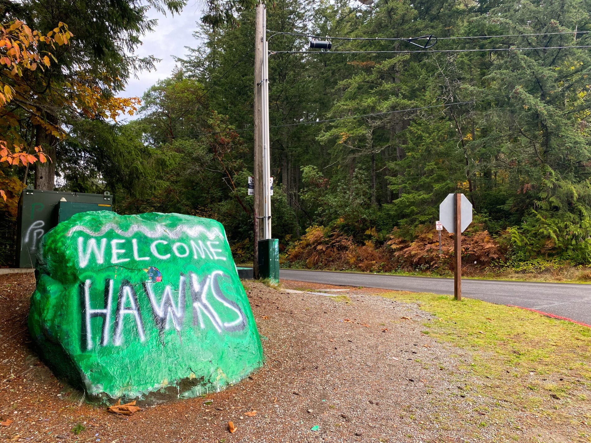 Peninsula School District committee says high schools should be ...