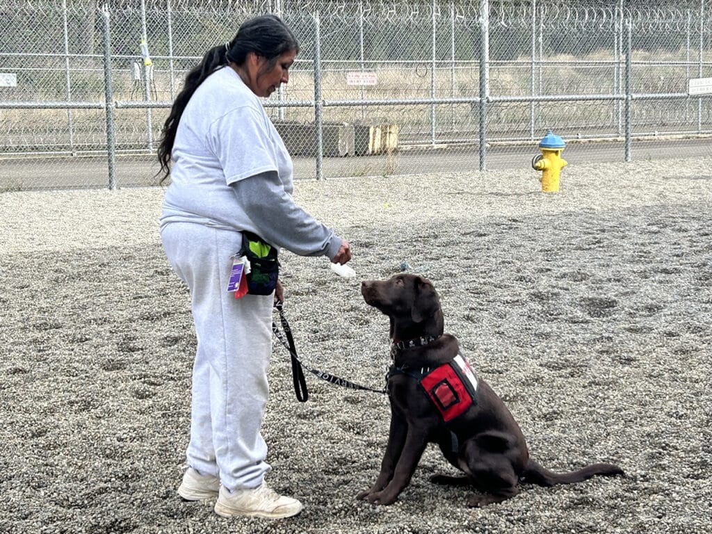 Prison Pet Partnership provides training for incarcerated women — and ...