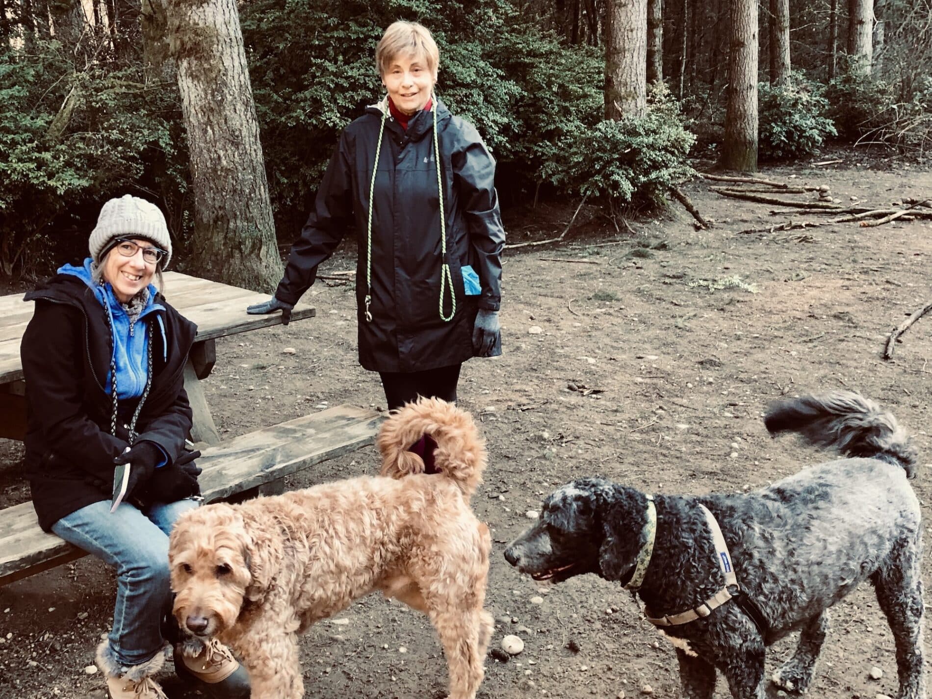 Park project adding mountain bike trails at McCormick Forest creates ...