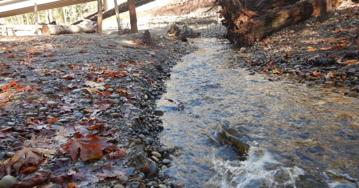 Purdy Creek culvert projects completed to salmon's liking - Gig Harbor ...
