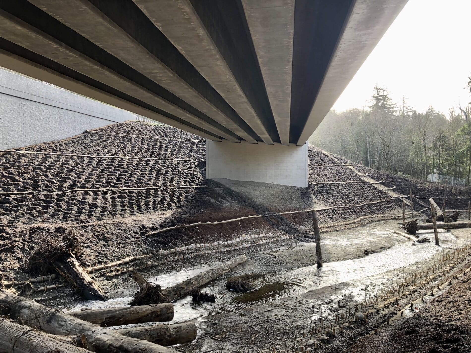 Purdy Creek culvert projects completed to salmon's liking - Gig Harbor ...