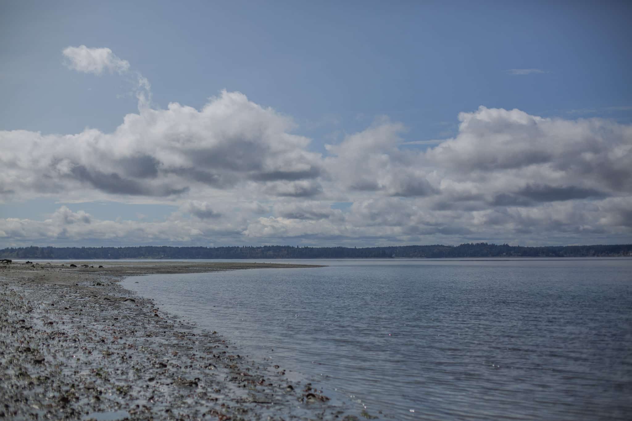Photos: Low-tide walk at Tacoma DeMolay Sandspit Nature Preserve - Gig ...