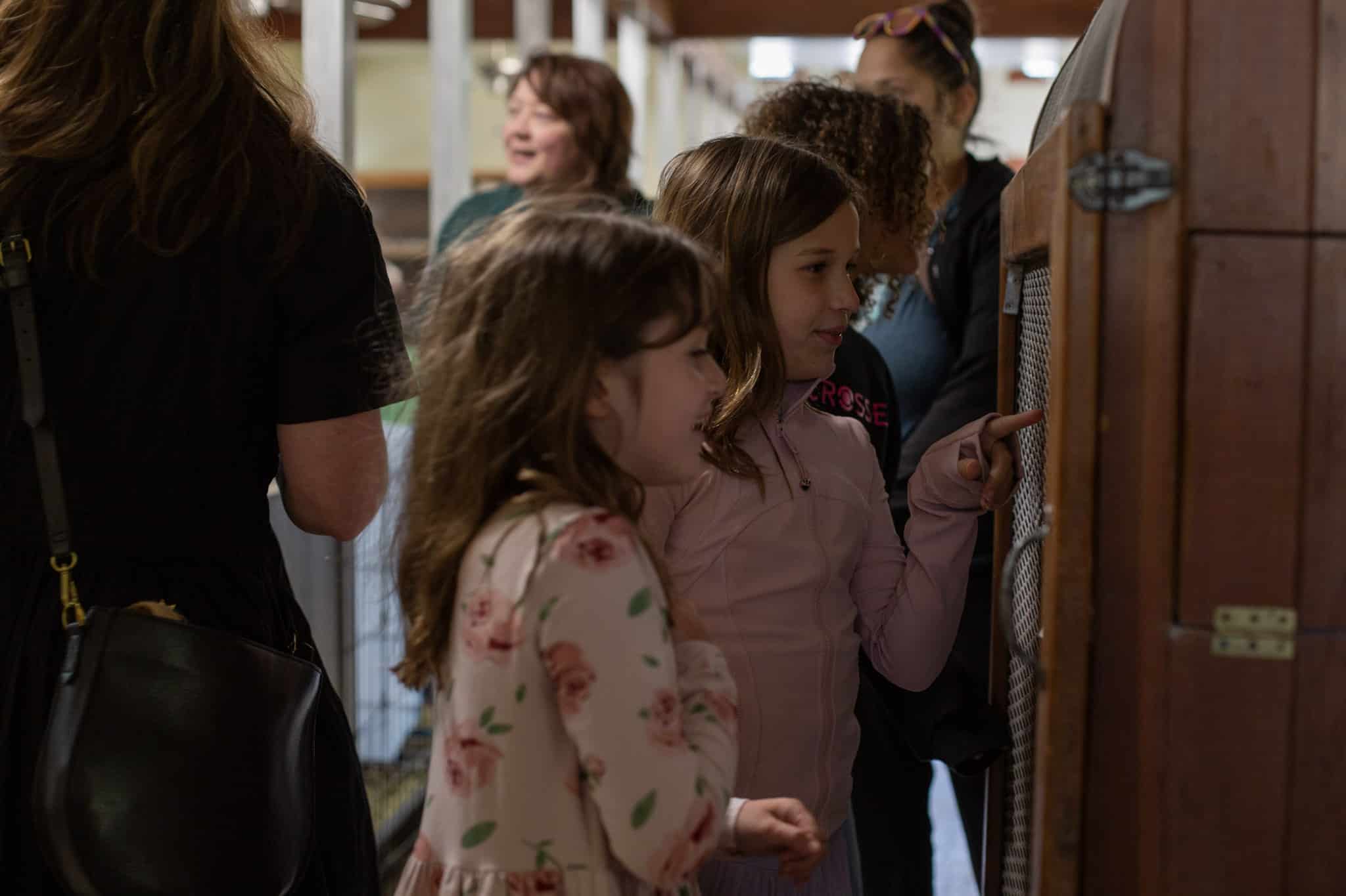 Rabbit Haven wants you to love bunny rabbits ... but not necessarily ...