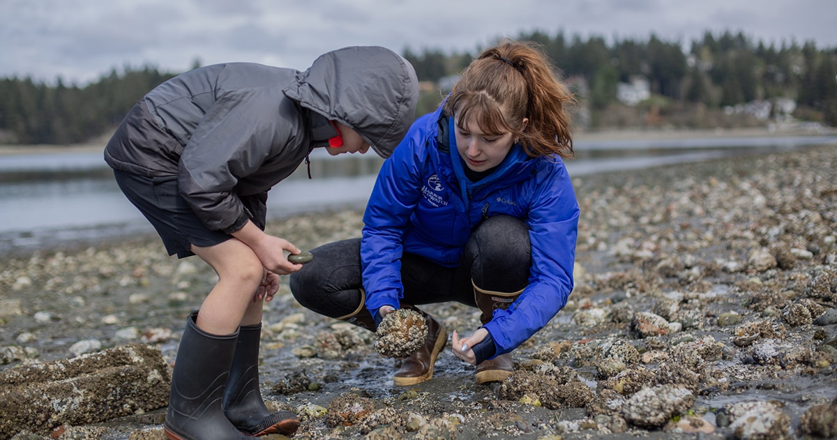 Photos: Low-tide walk at Tacoma DeMolay Sandspit Nature Preserve - Gig ...