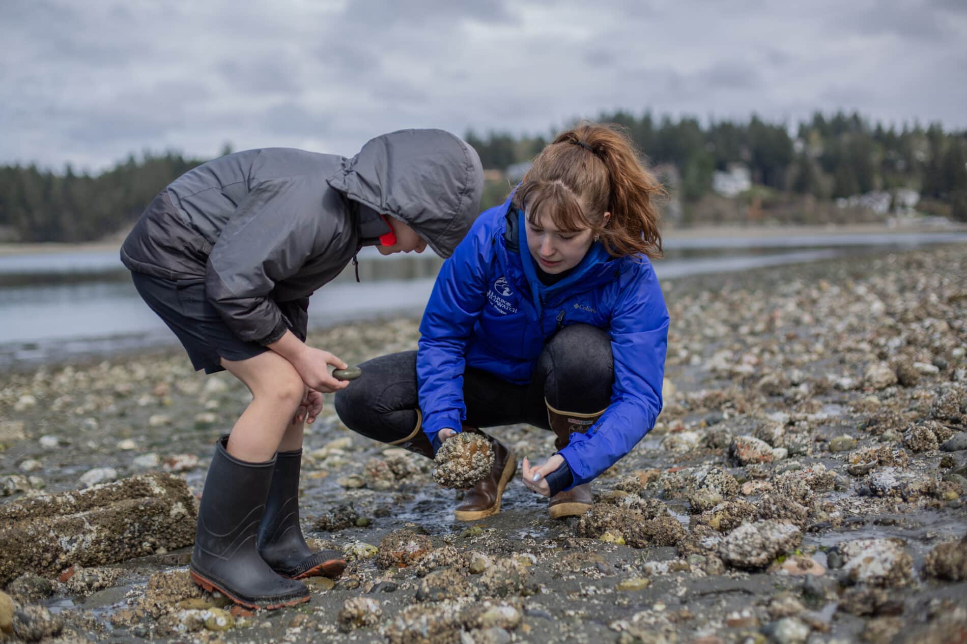 Photos: Low-tide walk at Tacoma DeMolay Sandspit Nature Preserve - Gig ...