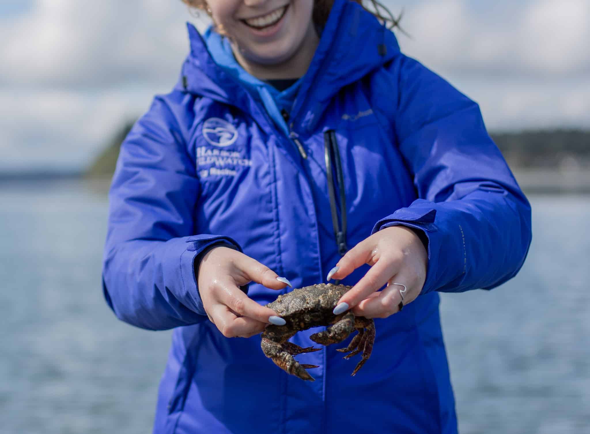 Photos: Low-tide walk at Tacoma DeMolay Sandspit Nature Preserve - Gig ...