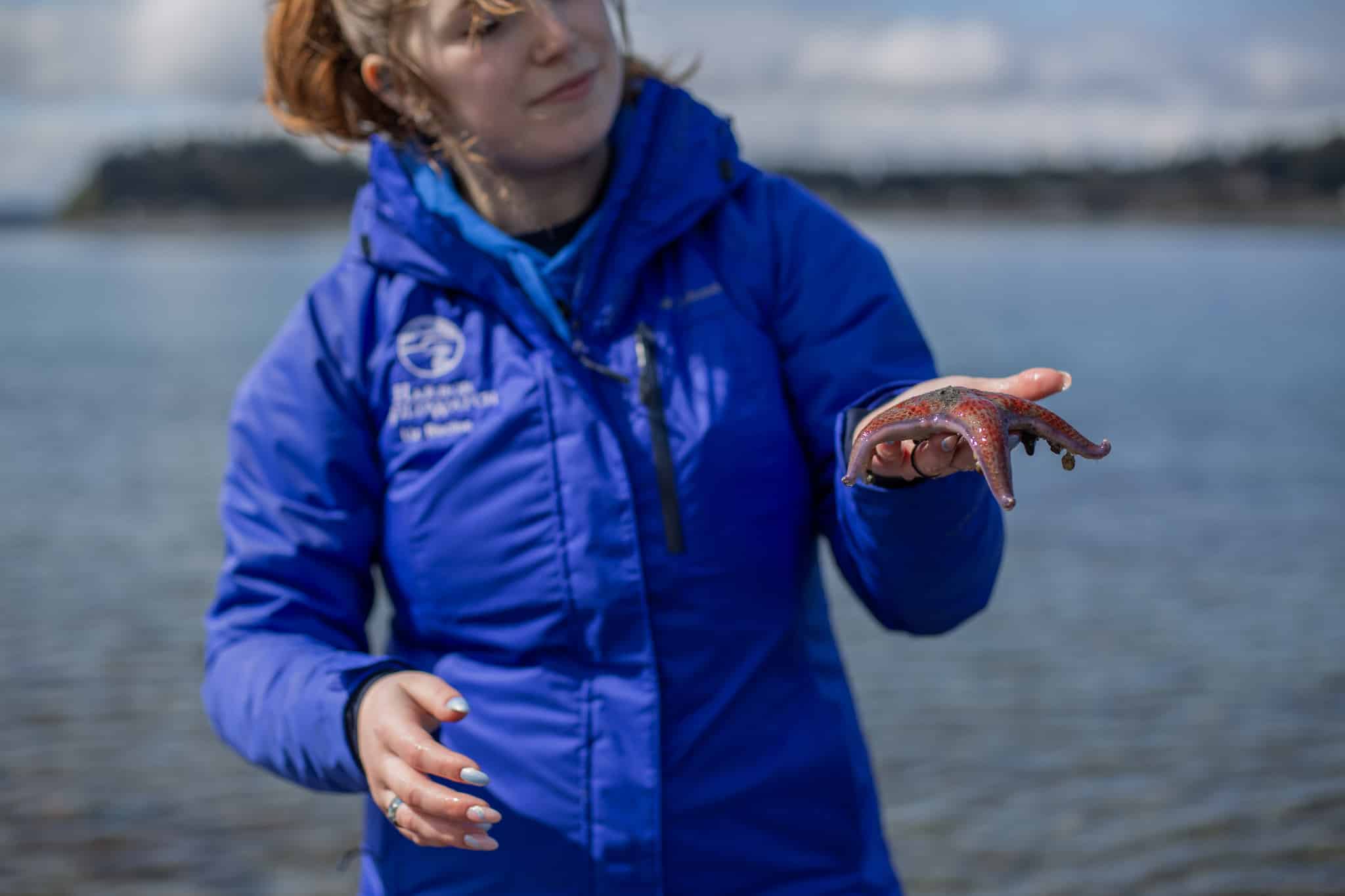 Photos: Low-tide walk at Tacoma DeMolay Sandspit Nature Preserve - Gig ...