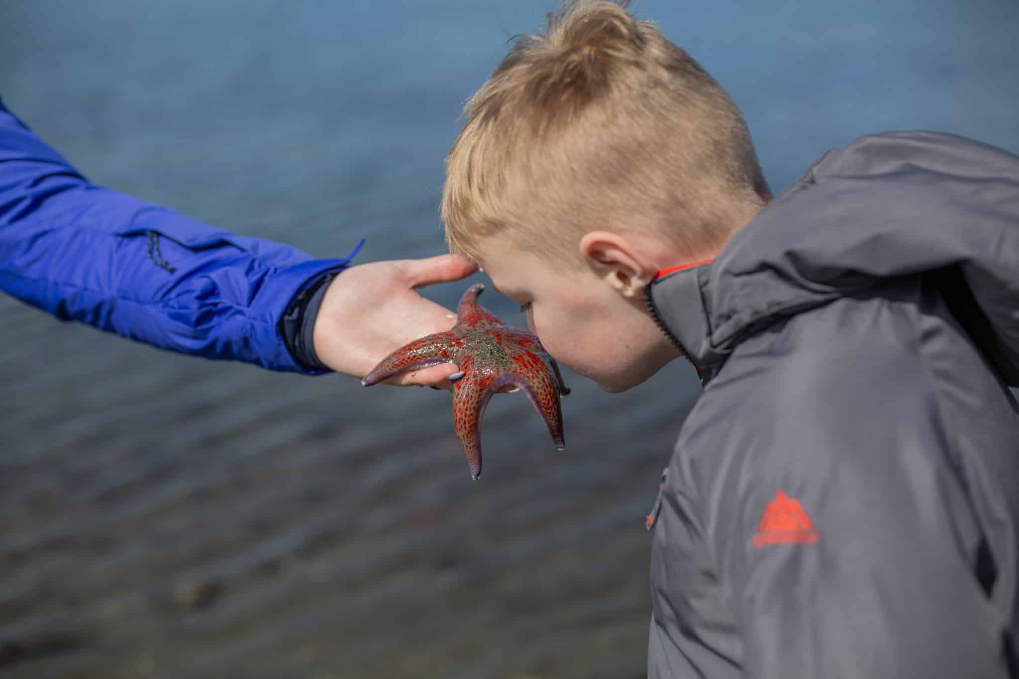 Photos: Low-tide walk at Tacoma DeMolay Sandspit Nature Preserve - Gig ...