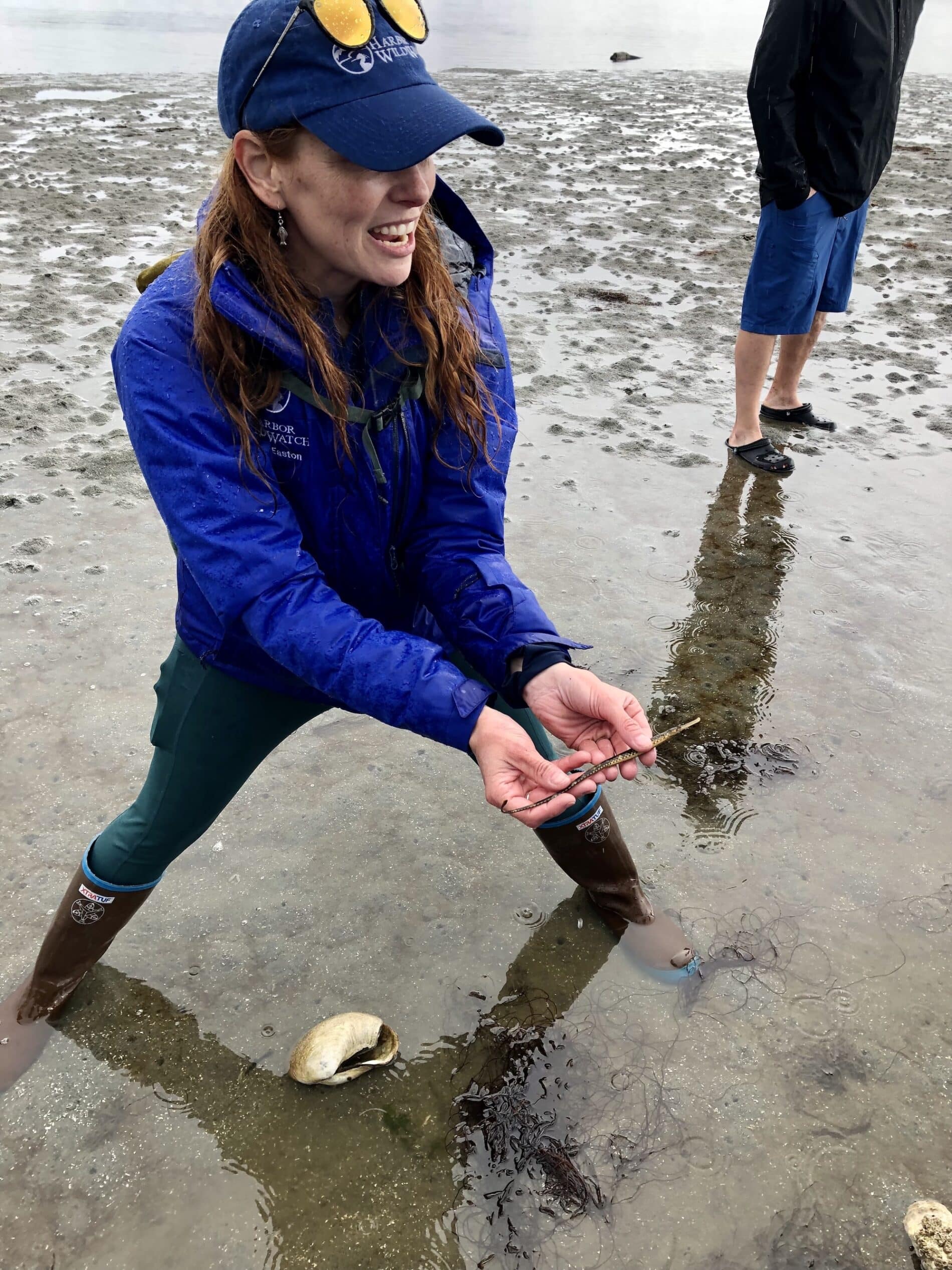 Pierce County receives grant to map eelgrass - Gig Harbor Now | A ...