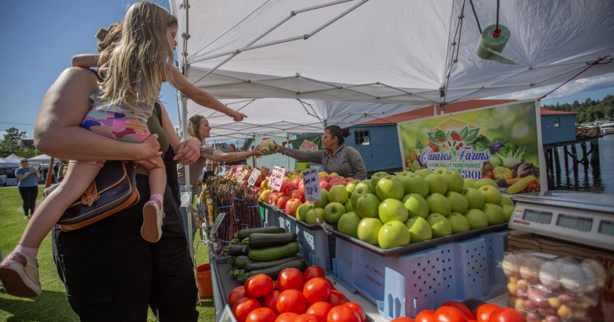 Photos: Opening day of the Waterfront Farmers Market - Gig Harbor Now ...
