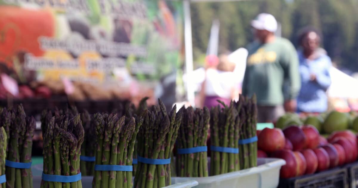 Harbor Hapenings | Summer unofficially draws to a close - Gig Harbor ...