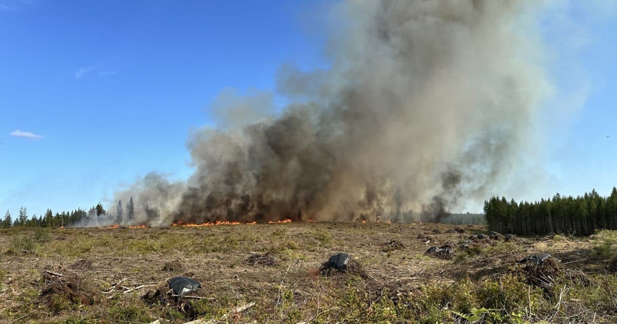 Pierce County steps up burn ban as fires rage in nearby communities ...