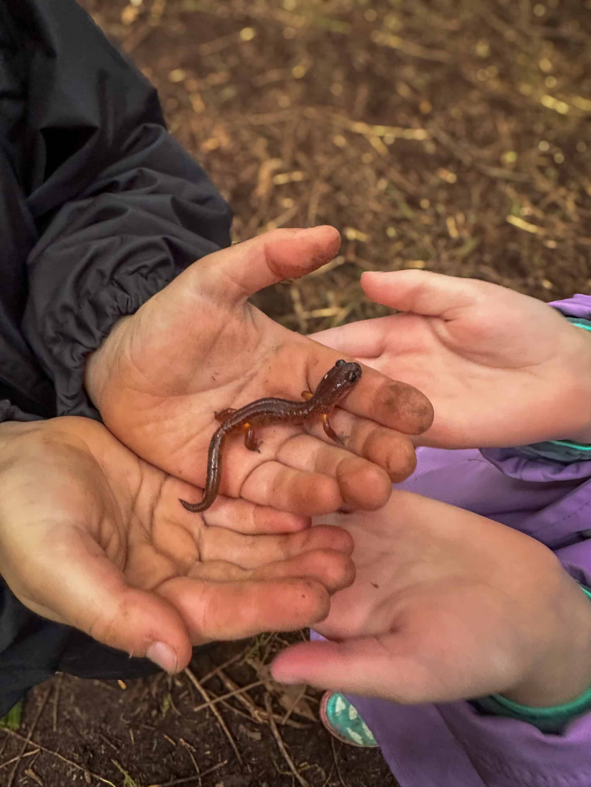 Reflections on my first three months at GGHF Curious by Nature School ...