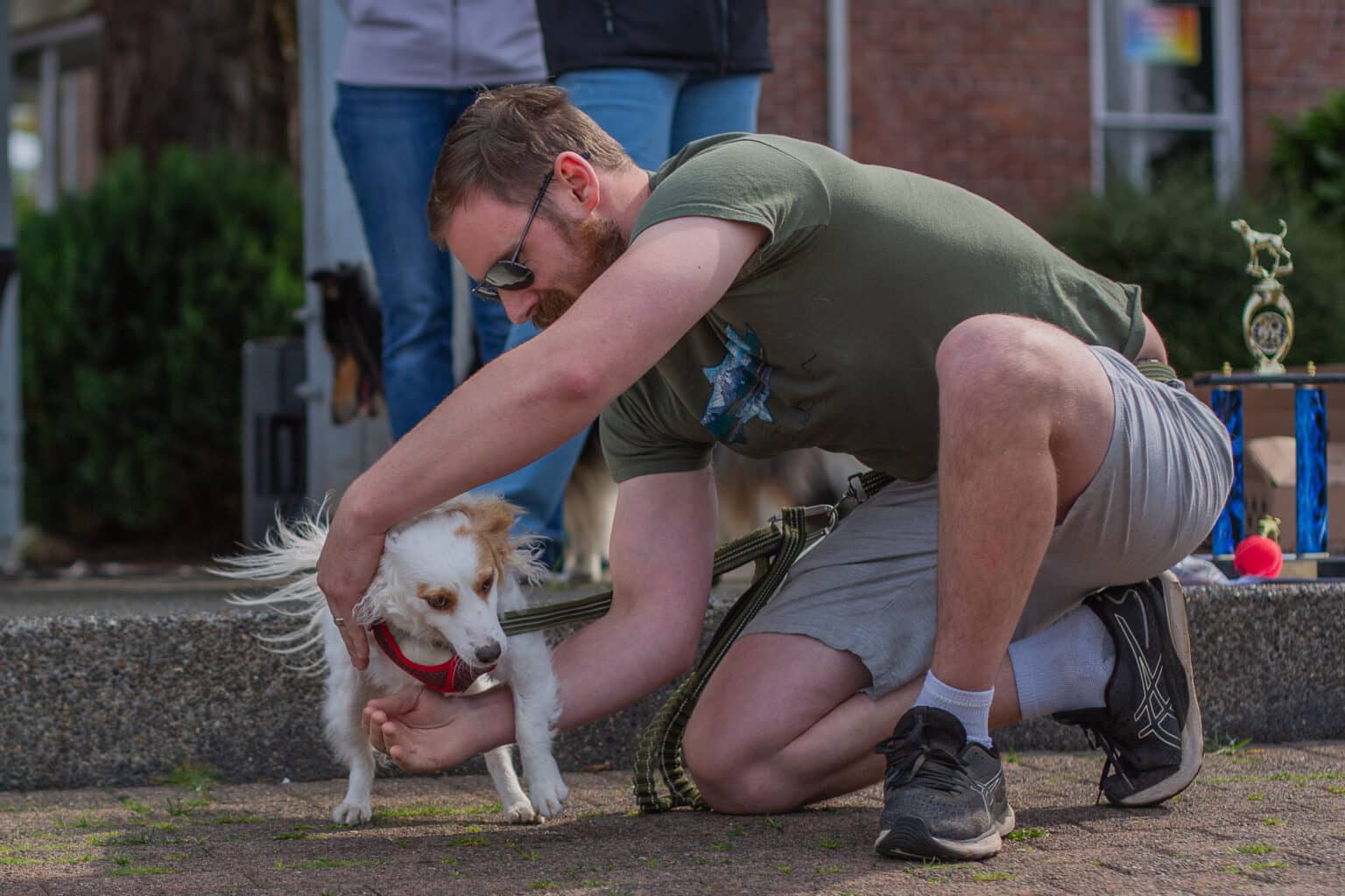 Sun comes out to play — and so do the dogs — at Harbor Hounds 2025 ...