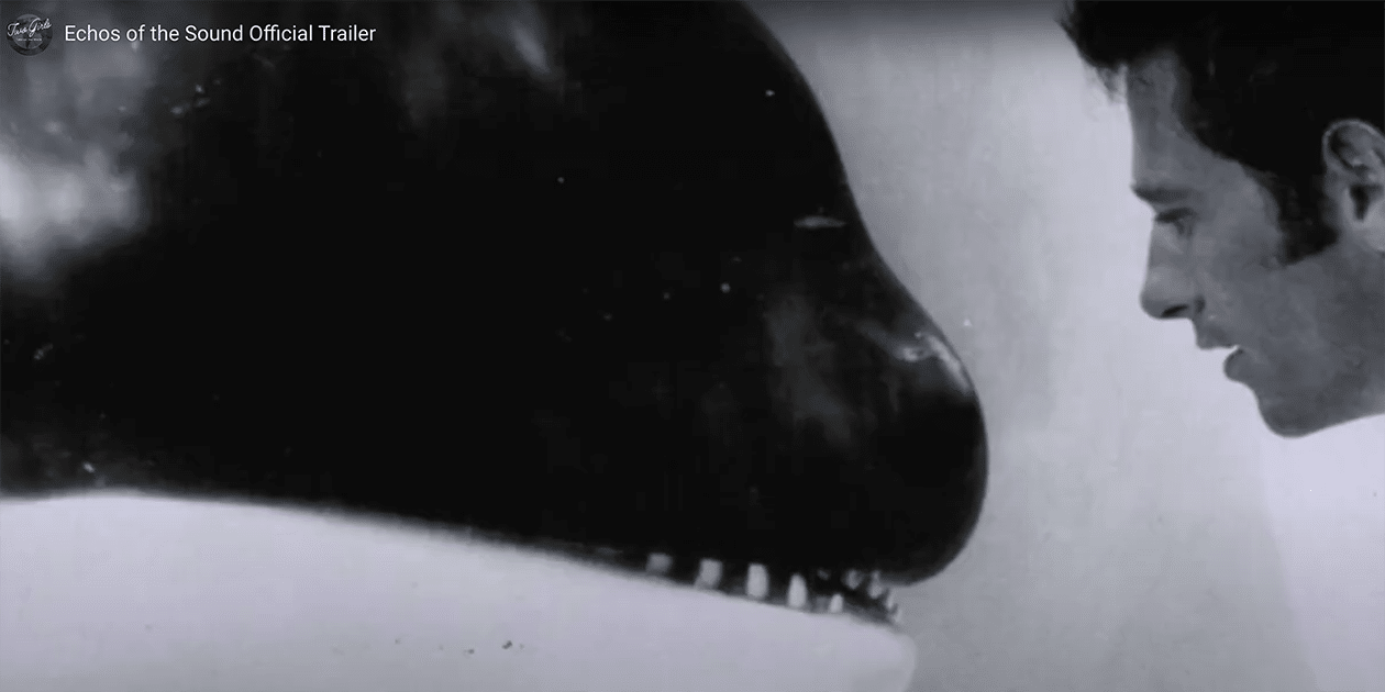 Young filmmakers tell little-known story of a captured Southern ...