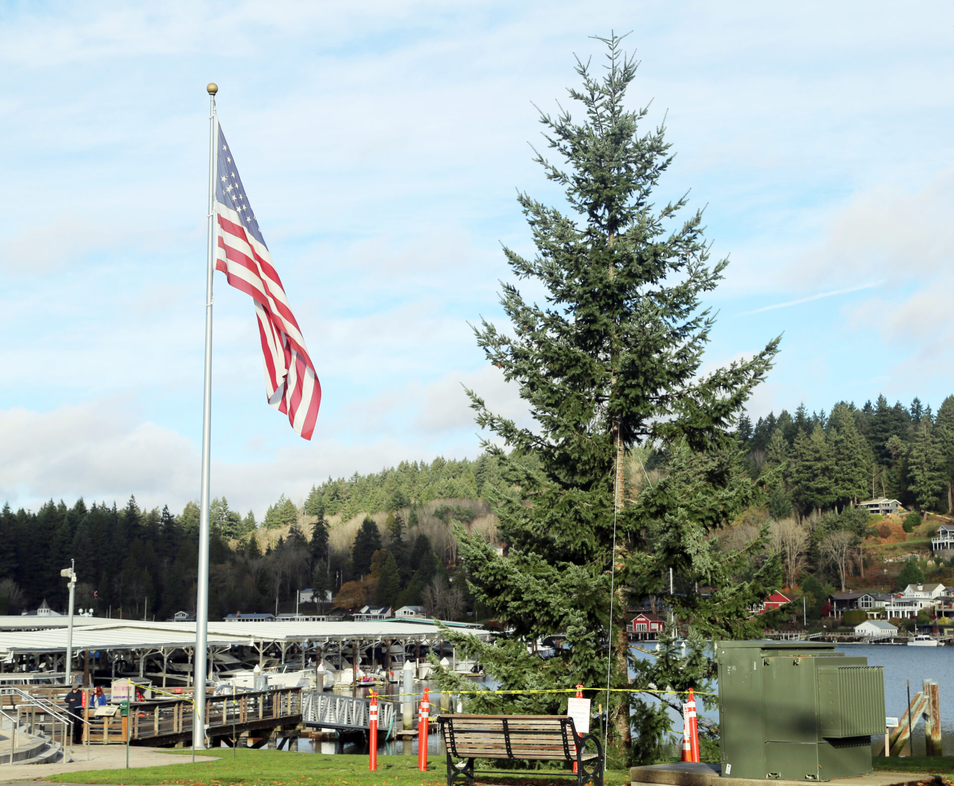 City's Christmas tree needed emergency surgery, stat - Gig Harbor Now ...