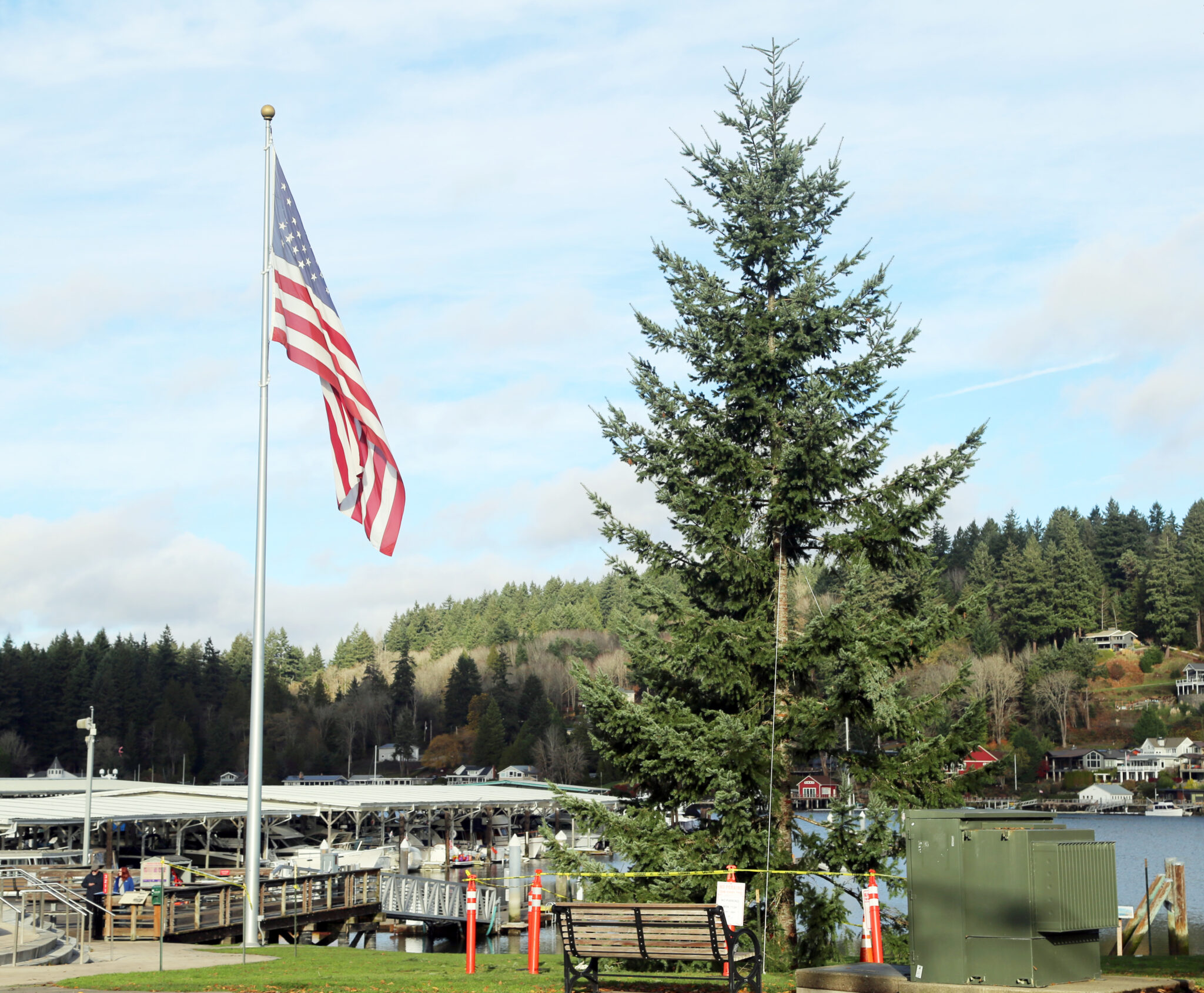 City's Christmas tree needed emergency surgery, stat - Gig Harbor Now ...